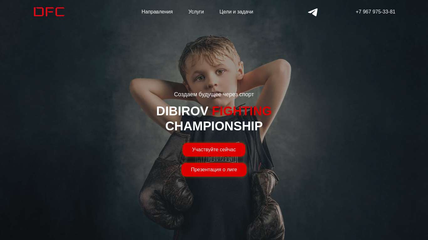 Dibirov Fighting Championship